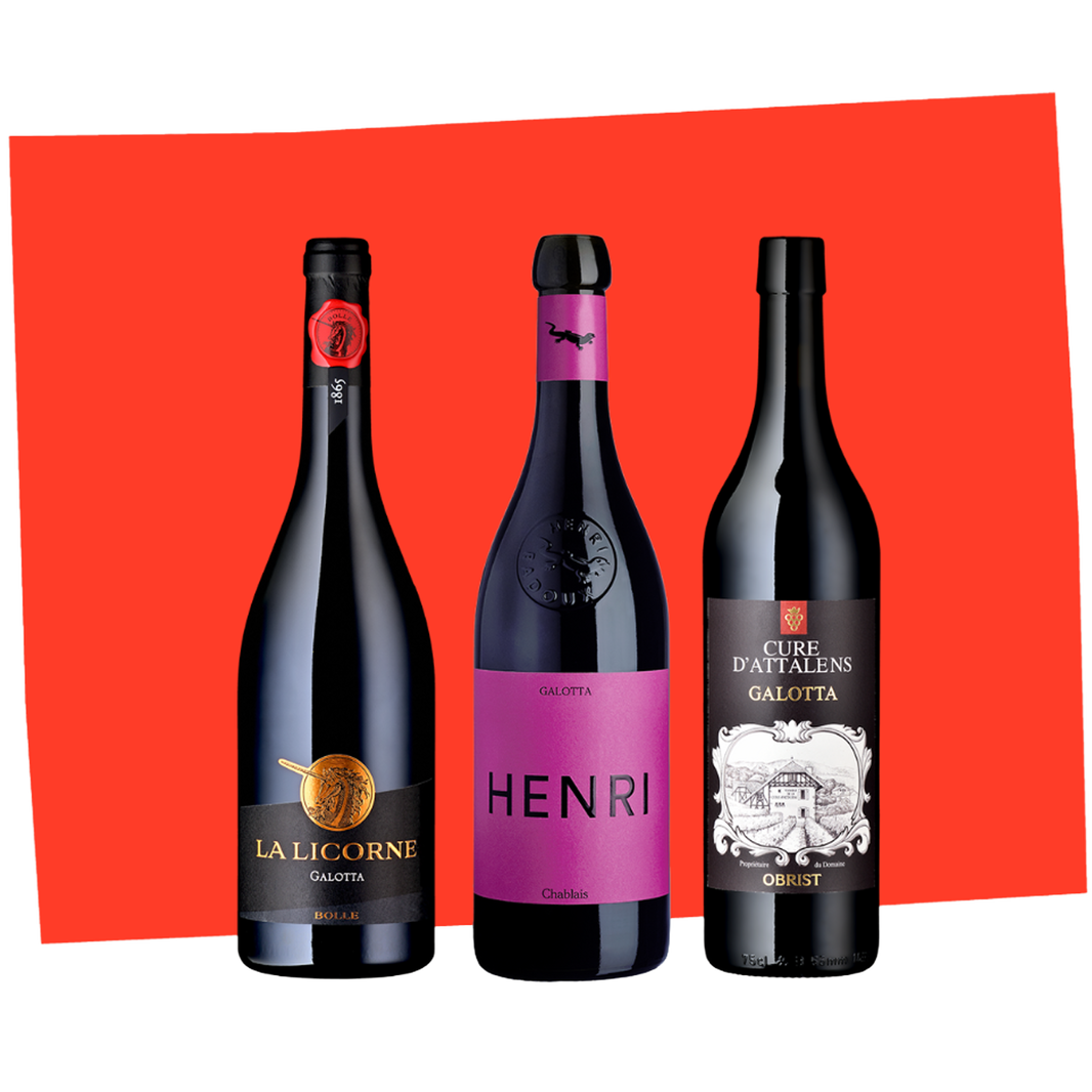 Cépage Sorcier : Le Galotta c'est quoi ? – theWinefamily.ch